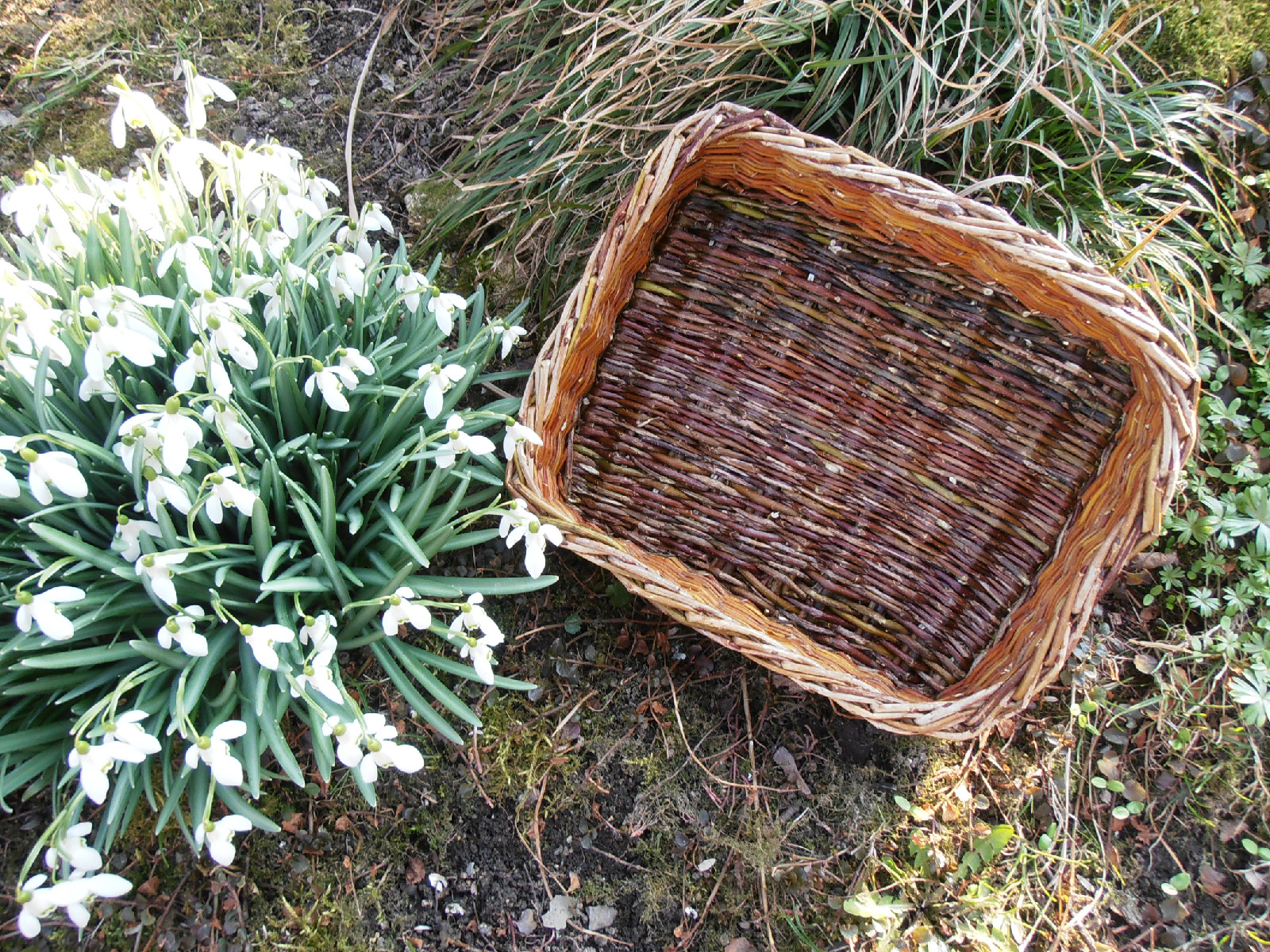 hranat-o-atka-men-lidov-emeslo